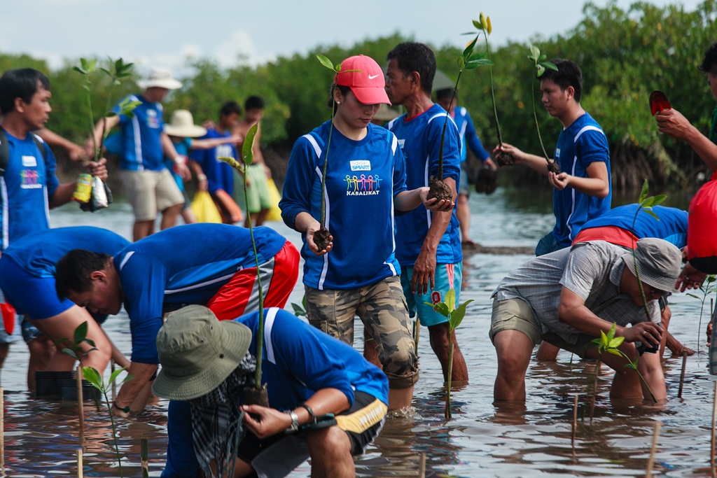 Smart pushes for more mangroves to keep coastal communities safer