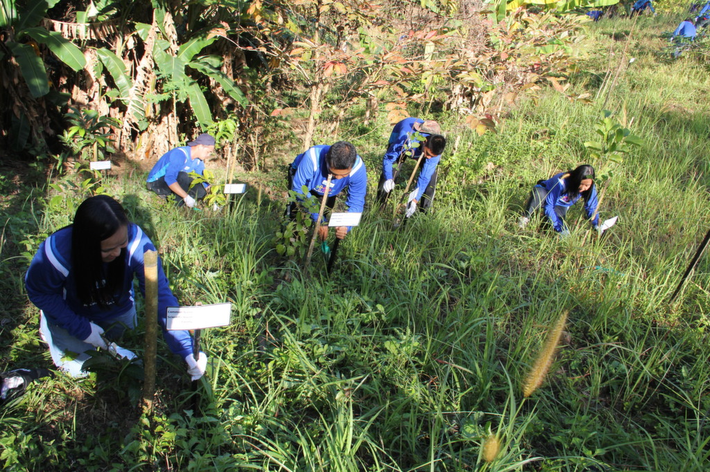 Tree Planting Marikina - January 25, 2013 - Smart Communications