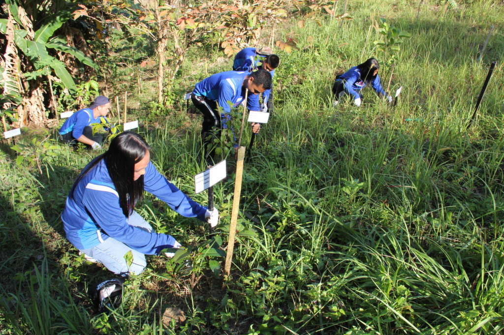 Tree Planting Marikina - January 25, 2013 - Smart Communications