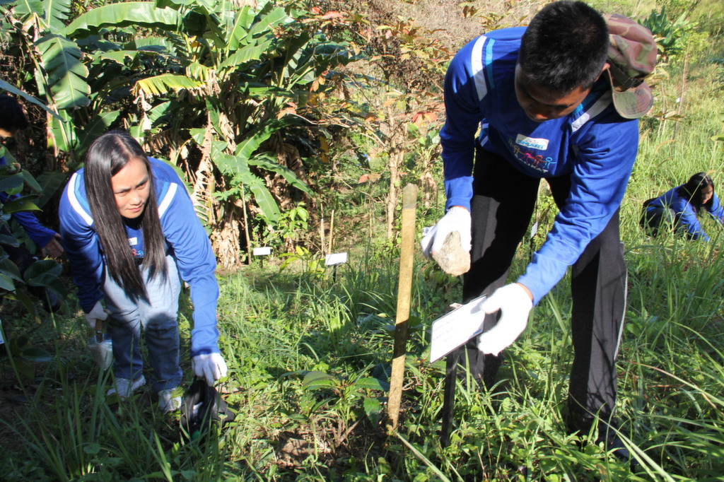 Tree Planting Marikina - January 25, 2013 - Smart Communications
