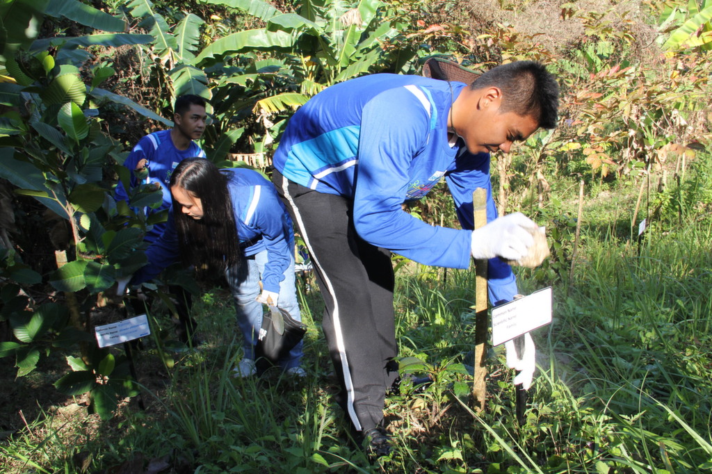 Tree Planting Marikina - January 25, 2013 - Smart Communications