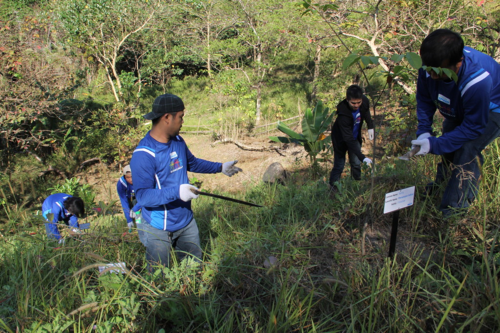 Tree Planting Marikina - January 25, 2013 - Smart Communications