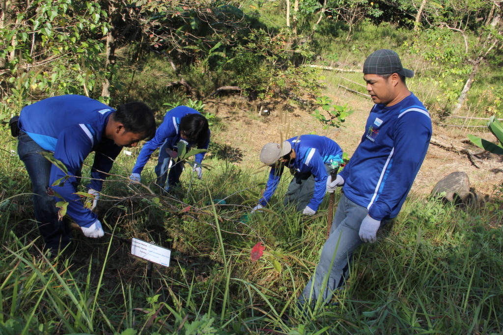 Tree Planting Marikina - January 25, 2013 - Smart Communications