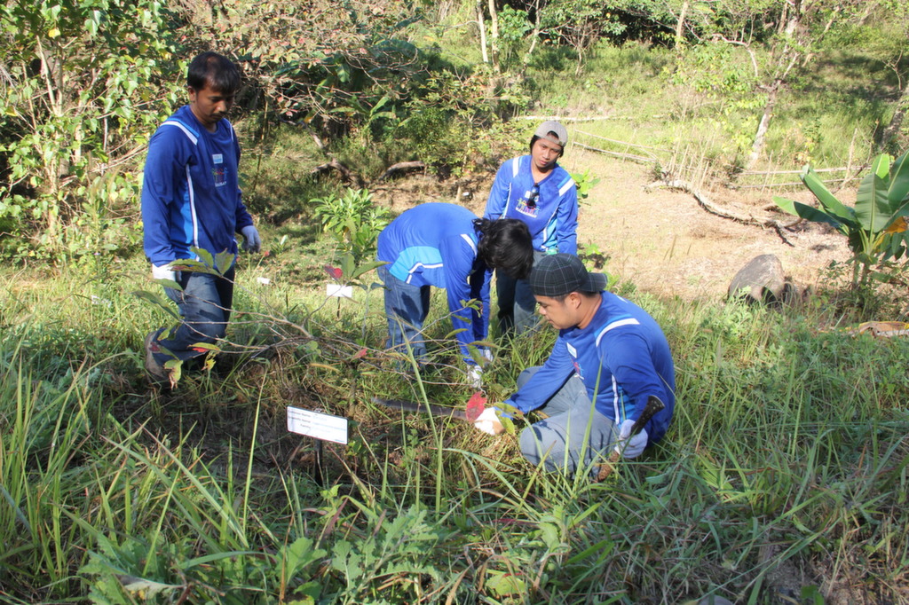 Tree Planting Marikina - January 25, 2013 - Smart Communications