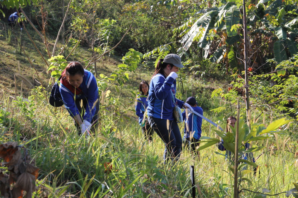 Tree Planting Marikina - January 25, 2013 - Smart Communications