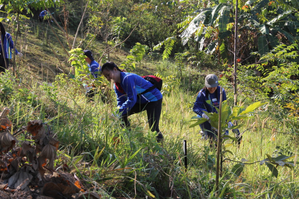 Tree Planting Marikina - January 25, 2013 - Smart Communications