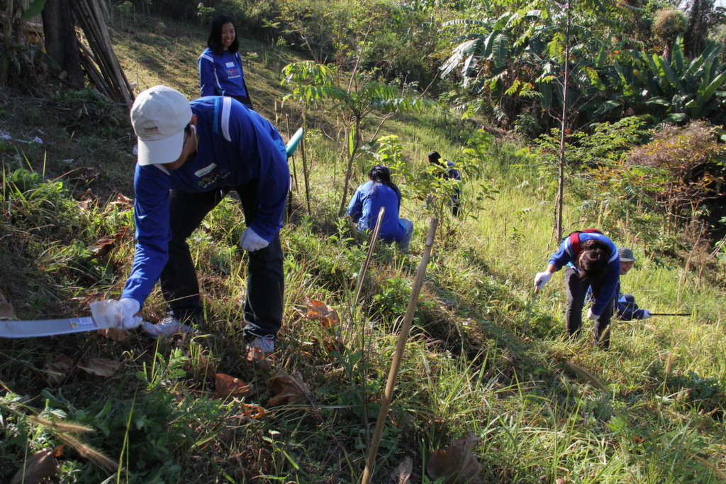Tree Planting Marikina - January 25, 2013 - Smart Communications