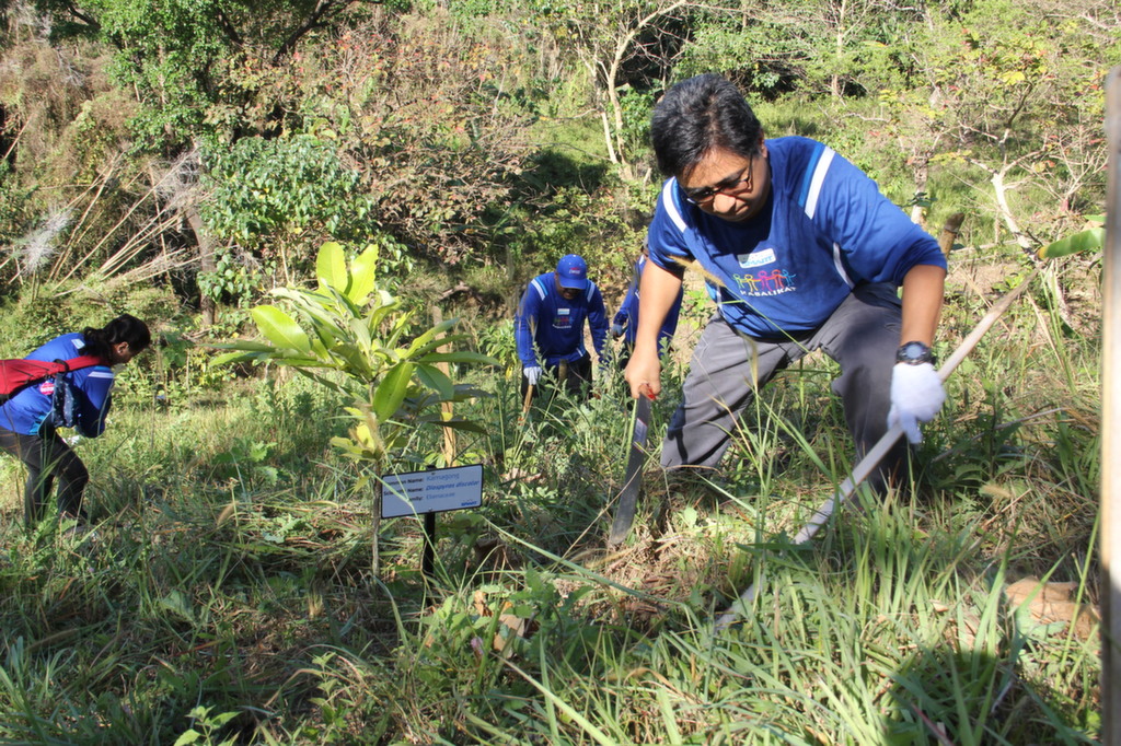 Tree Planting Marikina - January 25, 2013 - Smart Communications