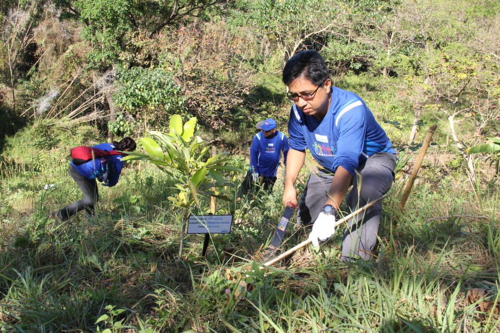 Tree Planting Marikina - January 25, 2013 - Smart Communications