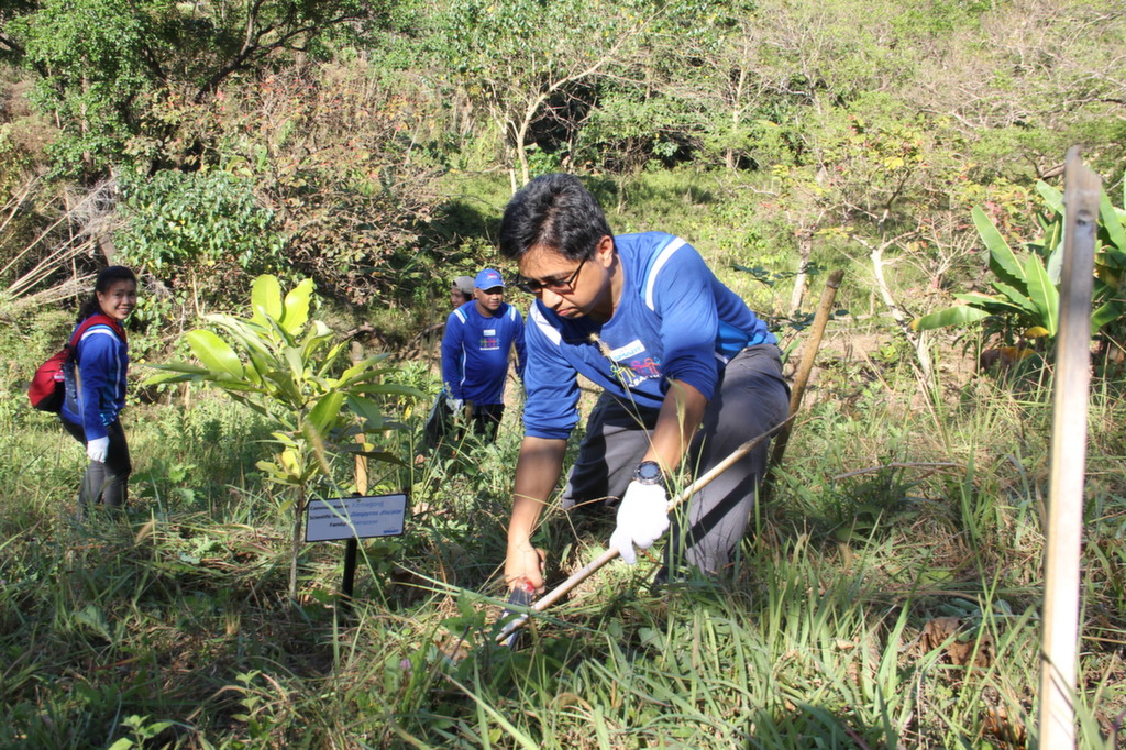 Tree Planting Marikina - January 25, 2013 - Smart Communications