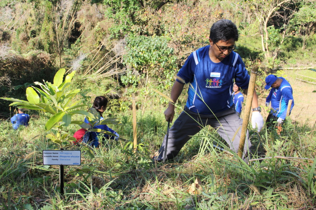 Tree Planting Marikina - January 25, 2013 - Smart Communications