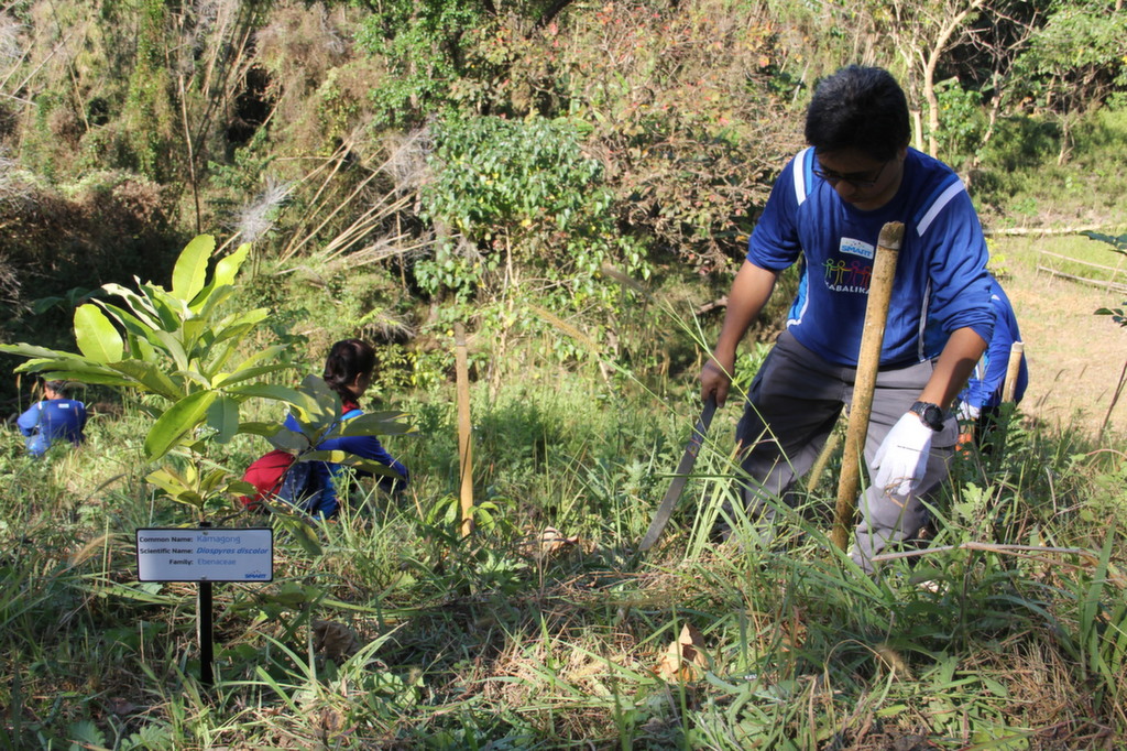Tree Planting Marikina - January 25, 2013 - Smart Communications