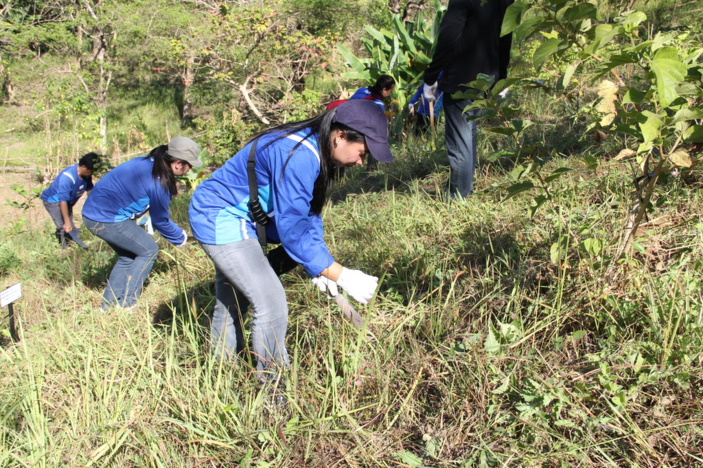 Tree Planting Marikina - January 25, 2013 - Smart Communications
