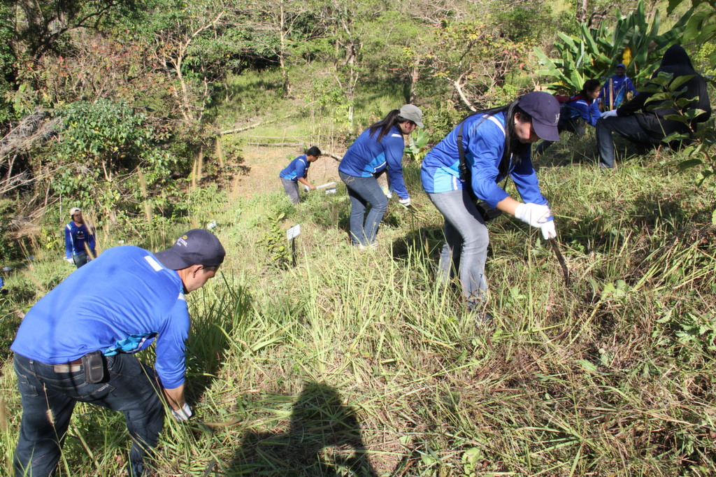Tree Planting Marikina - January 25, 2013 - Smart Communications