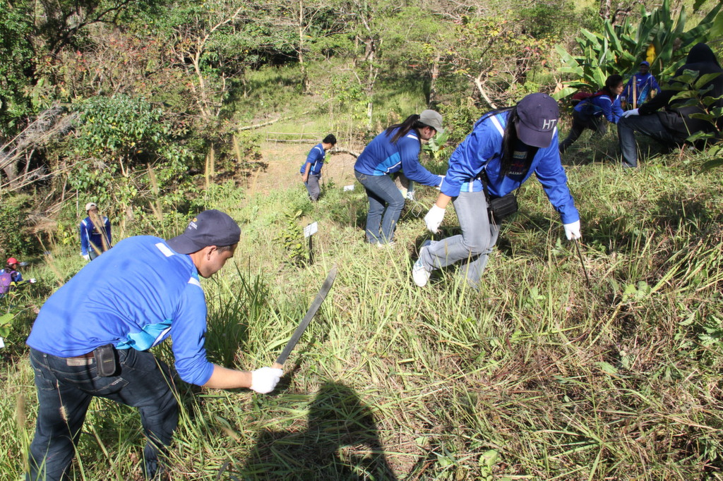 Tree Planting Marikina - January 25, 2013 - Smart Communications