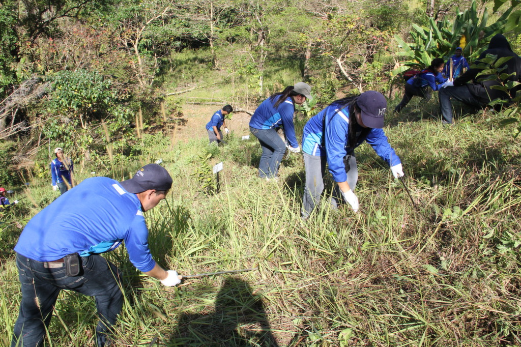 Tree Planting Marikina - January 25, 2013 - Smart Communications