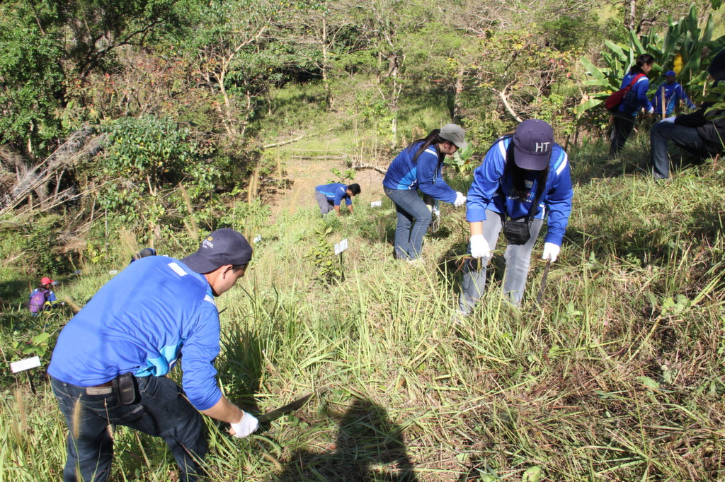 Tree Planting Marikina - January 25, 2013 - Smart Communications