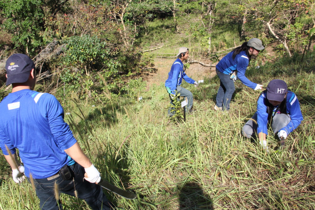 Tree Planting Marikina - January 25, 2013 - Smart Communications