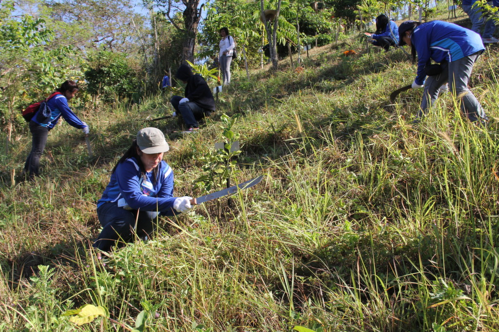 Tree Planting Marikina - January 25, 2013 - Smart Communications