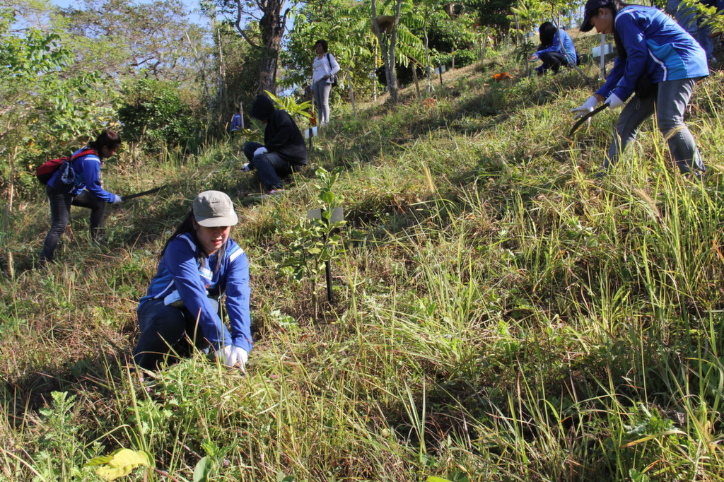 Tree Planting Marikina - January 25, 2013 - Smart Communications
