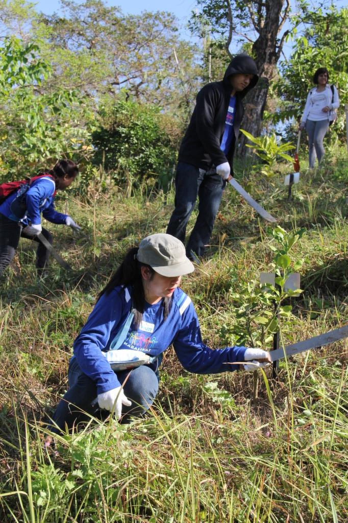 Tree Planting Marikina - January 25, 2013 - Smart Communications