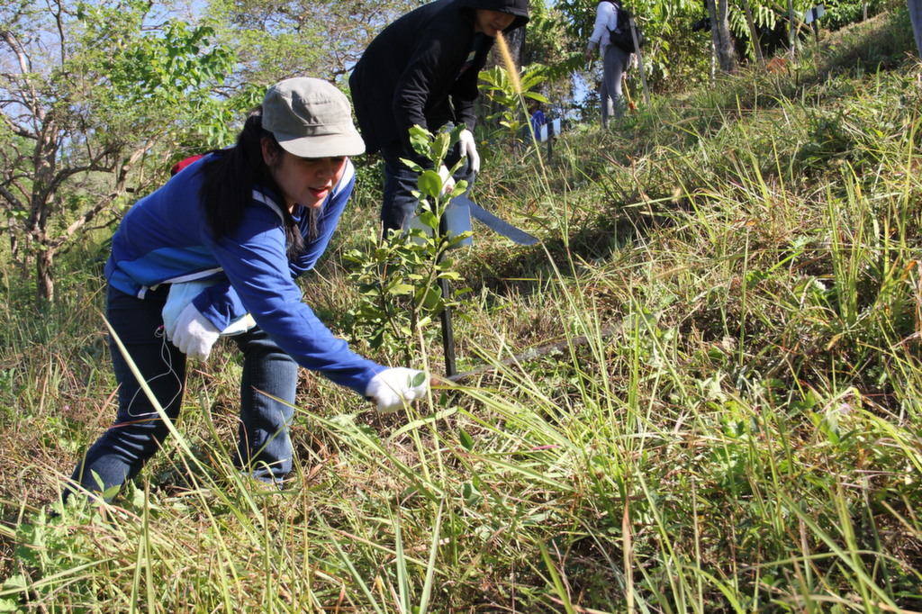 Tree Planting Marikina - January 25, 2013 - Smart Communications