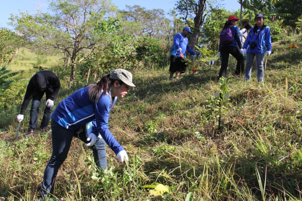 Tree Planting Marikina - January 25, 2013 - Smart Communications